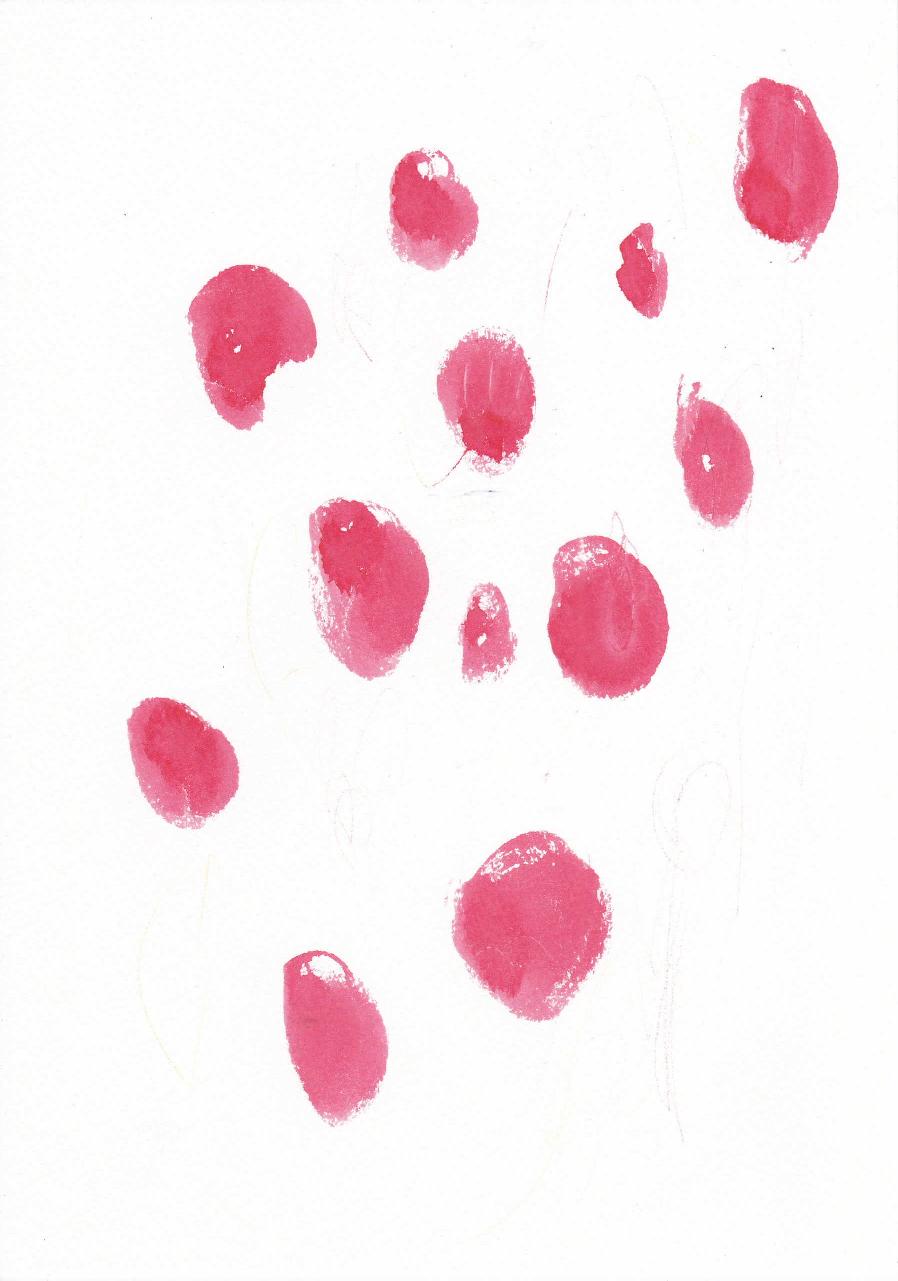 LIBERAL COLORS – YOUSUKE SASAOKA SMALL UNIVERSE